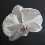 Andrew Benyei – Sculptor and Painter » Paintings